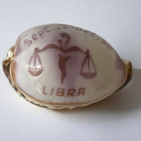Accents | Cowrie Shell Libra Zodiac Sign Carved Etched Souvenir Beach ...
